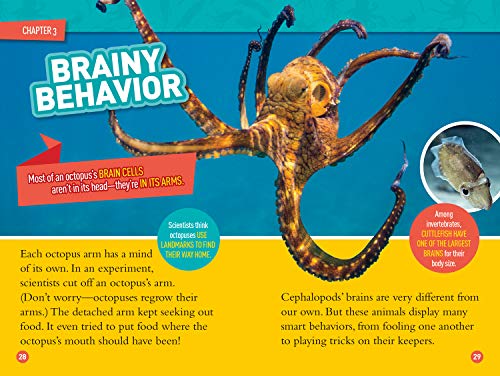 Ink! (National Geographic Geographic Kids Readers, Level 3): 100 FUN Facts About Octopuses, Squid, and More (National Geographic Kids Readers)