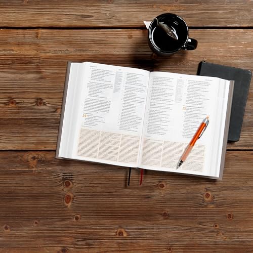 CSB Study Bible, Hardcover, Red Letter, Study Notes and Commentary, Illustrations, Articles, Word Studies, Outlines, Timelines, Easy-to-Read Bible Serif Type