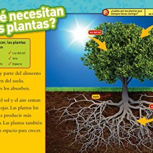 National Geographic Readers: De Semilla a Planta (L1) (Spanish Edition)