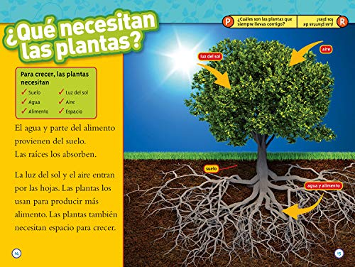 National Geographic Readers: De Semilla a Planta (L1) (Spanish Edition)