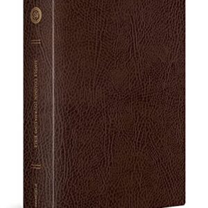 ESV Single Column Journaling Bible, Large Print (Bonded Leather, Mocha)