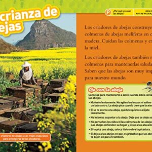 National Geographic Readers: Las Abejas (L2) (Spanish Edition)