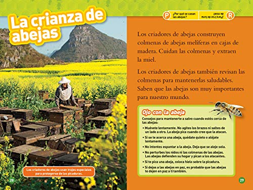 National Geographic Readers: Las Abejas (L2) (Spanish Edition)