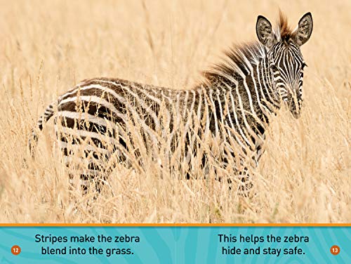 A Zebra's Day (National Geographic Kids Readers, Pre-Reader)