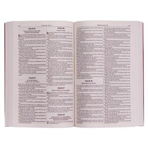 KJV Holy Bible, Gift and Award Bible - Softcover, King James Version, Burgundy (KJV Gift Award Editions)