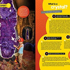 The Coolest Stuff on Earth: A Closer Look at the Weird, Wild, and Wonderful (National Geographic Kids)