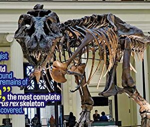 Weird But True! Dinosaurs: 300 Dino-Mite Facts to Sink Your Teeth Into