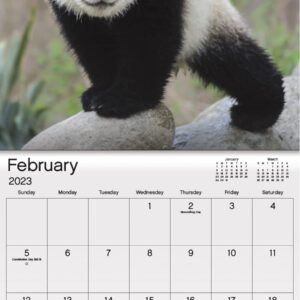 2023 Animal Babies Mini Wall Calendar