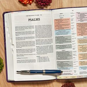 NIV Rainbow Study Bible, Purple LeatherTouch Indexed