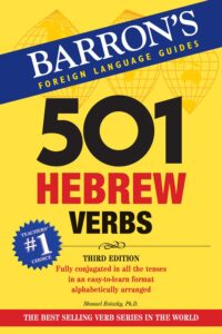 501 hebrew verbs (barron's 501 verbs)