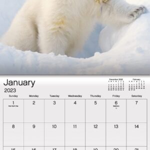 2023 Animal Babies Mini Wall Calendar