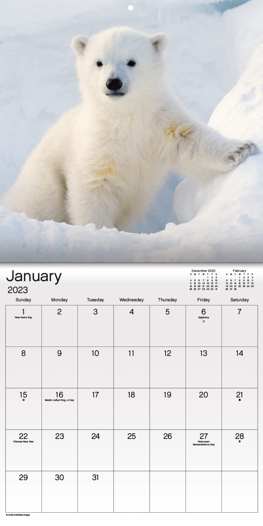 2023 Animal Babies Mini Wall Calendar