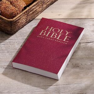 KJV Holy Bible, Gift and Award Bible - Softcover, King James Version, Burgundy (KJV Gift Award Editions)