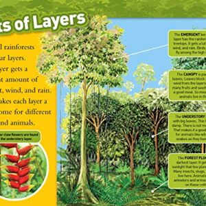 Rainforests (National Geographic Kids Readers, Level 2)