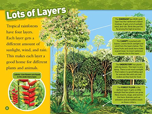 Rainforests (National Geographic Kids Readers, Level 2)