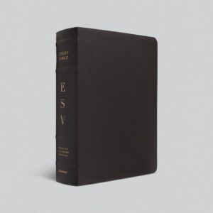 ESV Study Bible, Large Print (Buffalo Leather, Deep Brown)