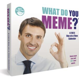 2023 What Do You Meme? Day-at-a-Time Box Calendar