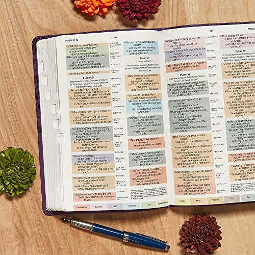 NIV Rainbow Study Bible, Purple LeatherTouch Indexed