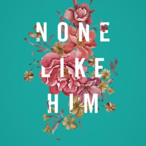 None Like Him: 10 Ways God Is Different from Us (and Why That's a Good Thing)