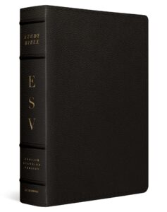 esv study bible, large print (buffalo leather, deep brown)