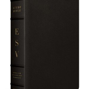 ESV Study Bible, Large Print (Buffalo Leather, Deep Brown)