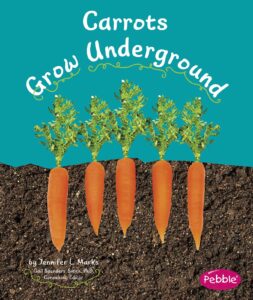 carrots grow underground (how fruits and vegetables grow)