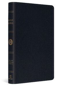 esv large print thinline reference bible (black)