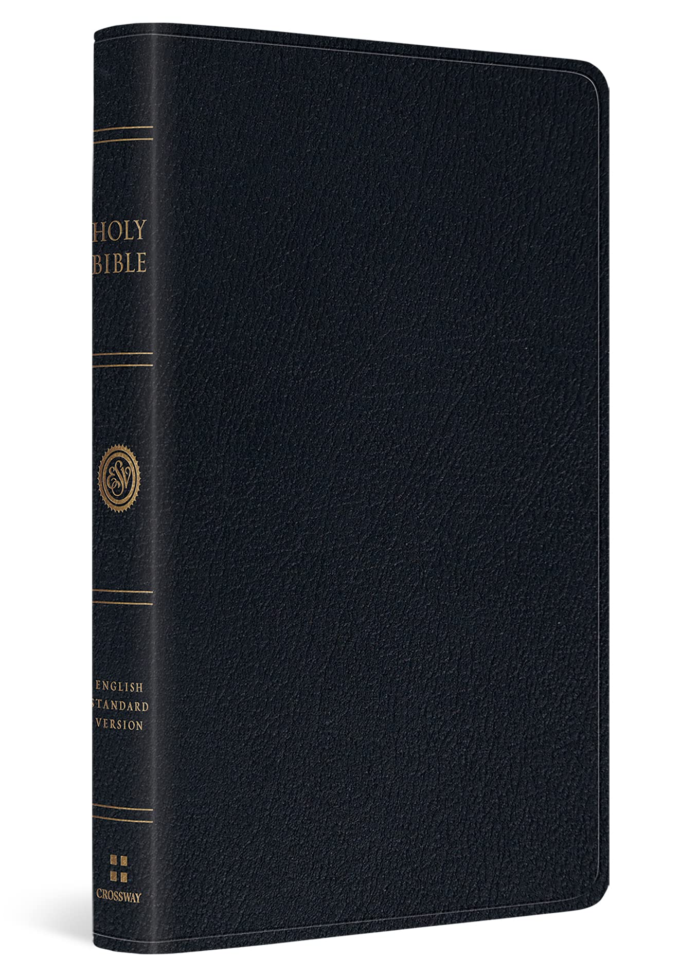 ESV Large Print Thinline Reference Bible (Black)