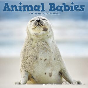 2023 animal babies mini wall calendar