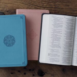 ESV Large Print Value Thinline Bible (TruTone, Turquoise, Emblem Design)