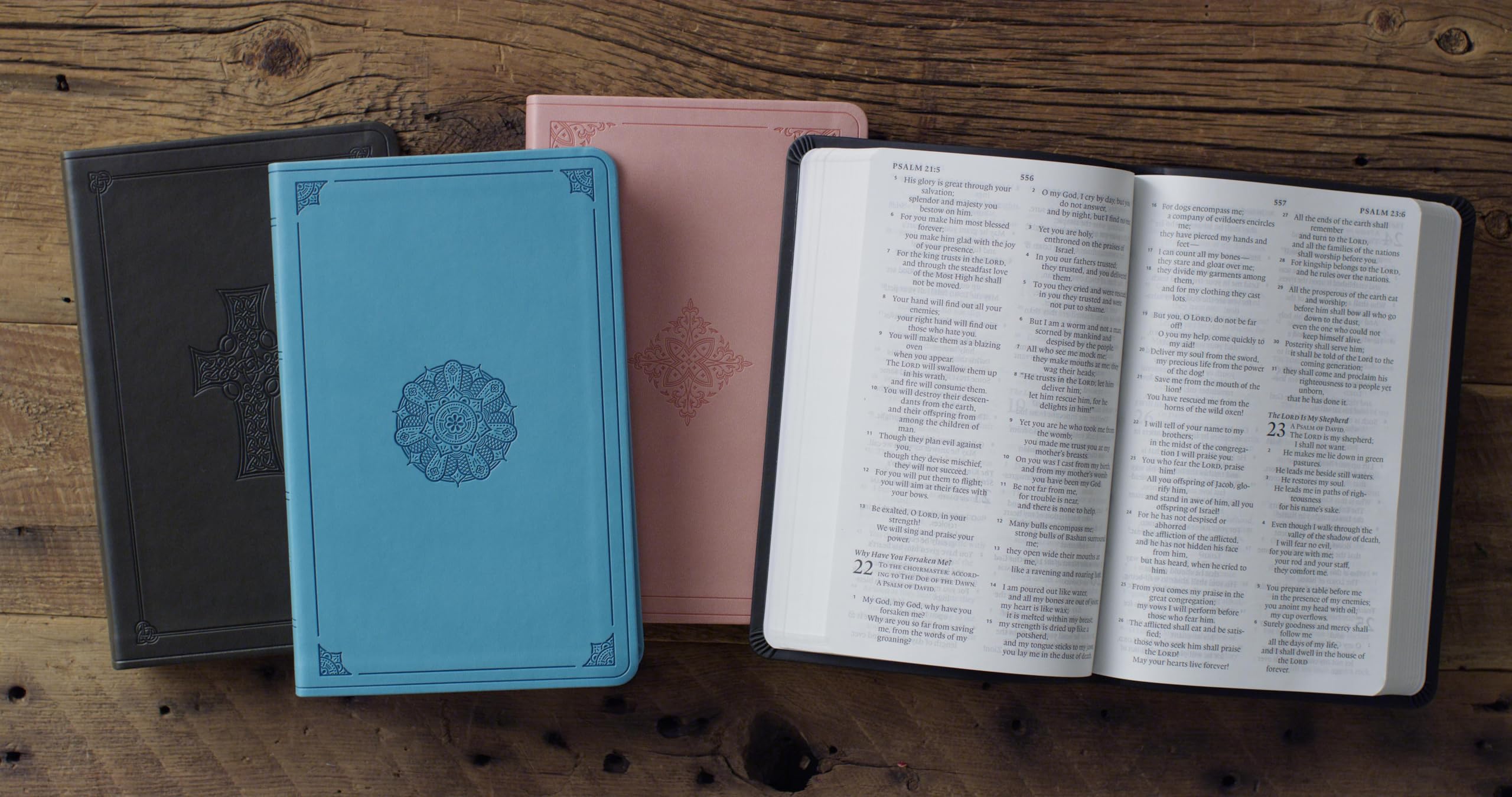 ESV Large Print Value Thinline Bible (TruTone, Turquoise, Emblem Design)