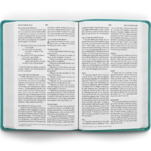 ESV Large Print Value Thinline Bible (TruTone, Turquoise, Emblem Design)