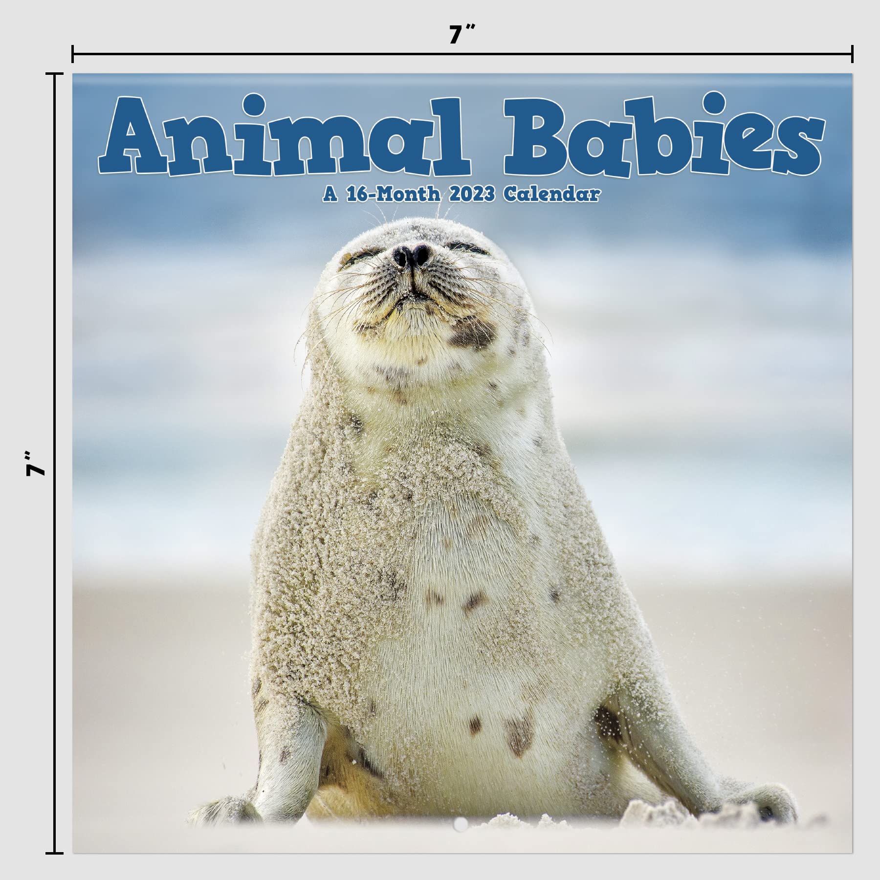 2023 Animal Babies Mini Wall Calendar