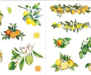 Bunches of Botanicals Sticker Book (Over 500 stickers!)