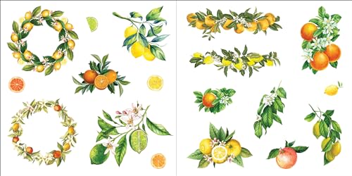 Bunches of Botanicals Sticker Book (Over 500 stickers!)