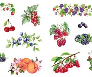 Bunches of Botanicals Sticker Book (Over 500 stickers!)