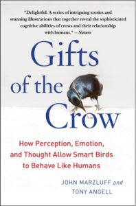 gifts of the crow: how perception, emotion, and thought allow smart birds to behave like humans