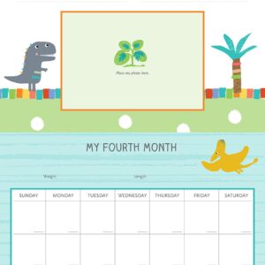 My Life as a Baby: A First-Year Calendar (Dinosaurs)