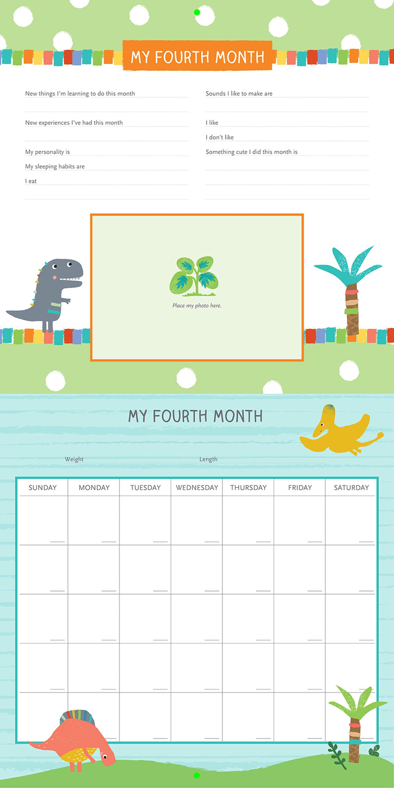 My Life as a Baby: A First-Year Calendar (Dinosaurs)