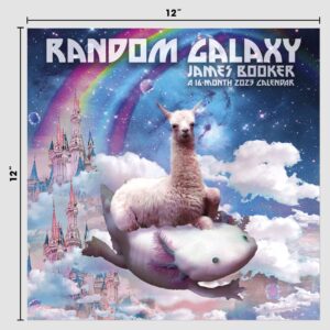 2023 Random Galaxy by James Booker Wall Calendar