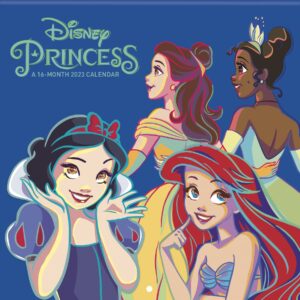 2023 disney princess mini wall calendar