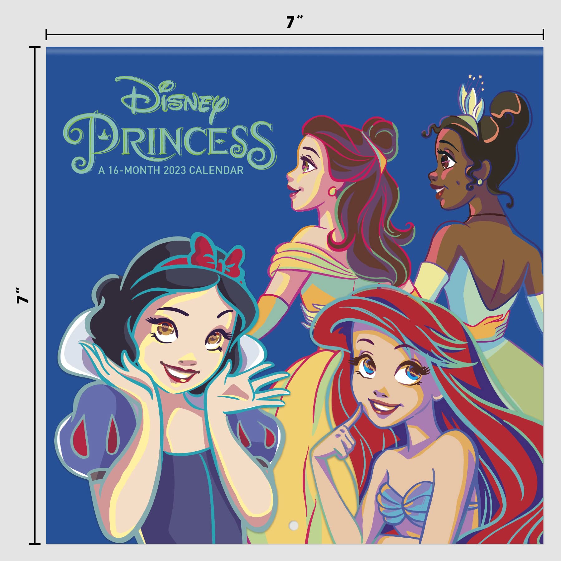 2023 Disney Princess Mini Wall Calendar