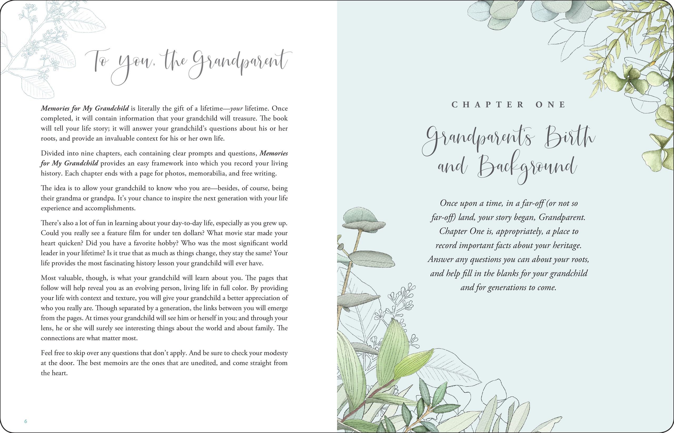 Memories for My Grandchild (Cloth Bound, Deluxe Edition)