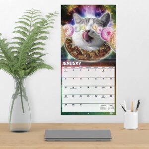 2023 Random Galaxy by James Booker Wall Calendar