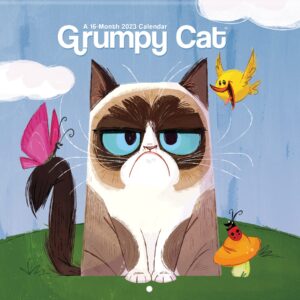 2023 grumpy cat mini wall calendar