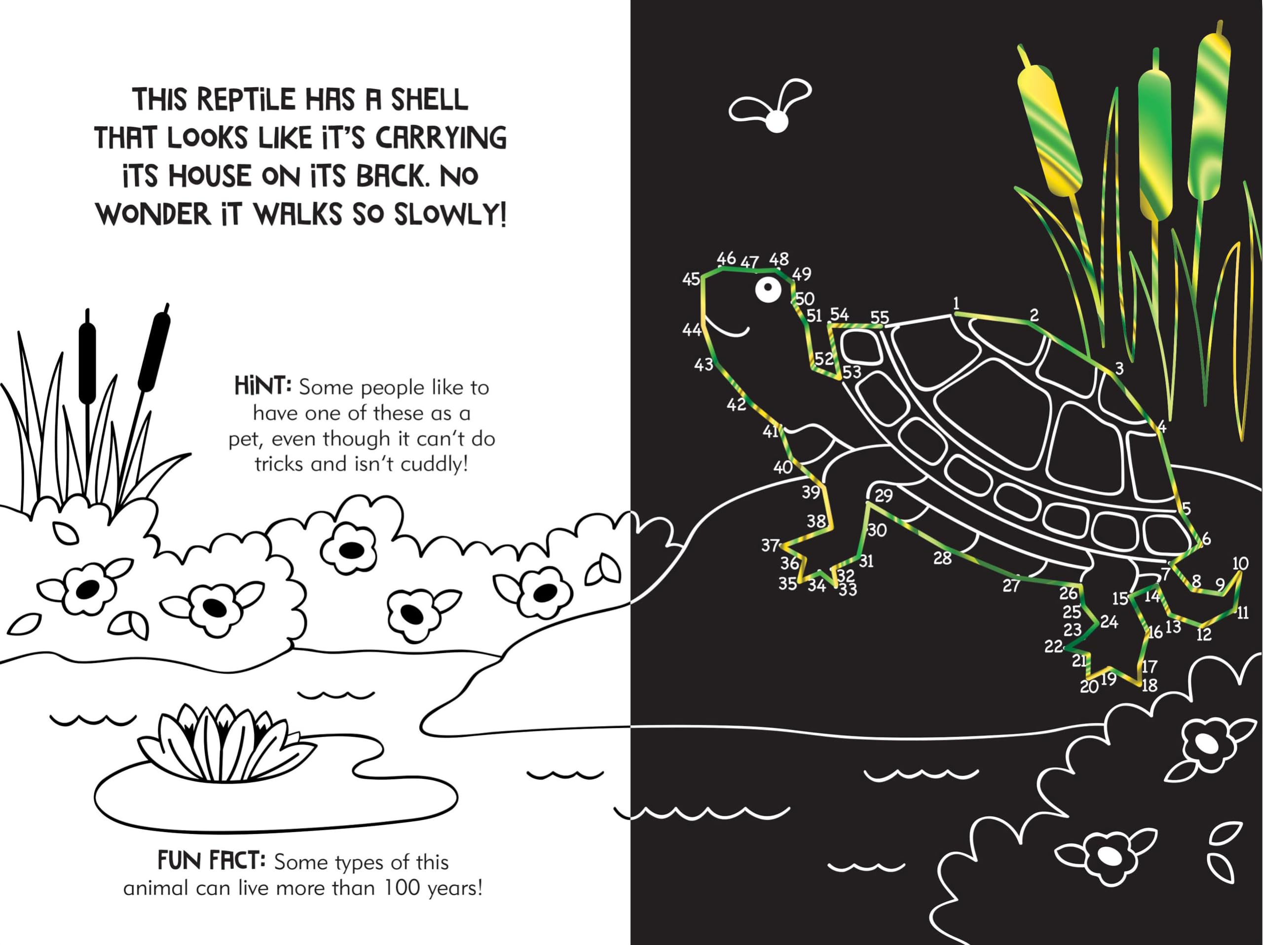 Dot-to-Dot Animals Scratch & Sketch (Trace-Along)