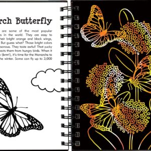 Scratch & Sketch Butterflies & Friends (Trace Along)