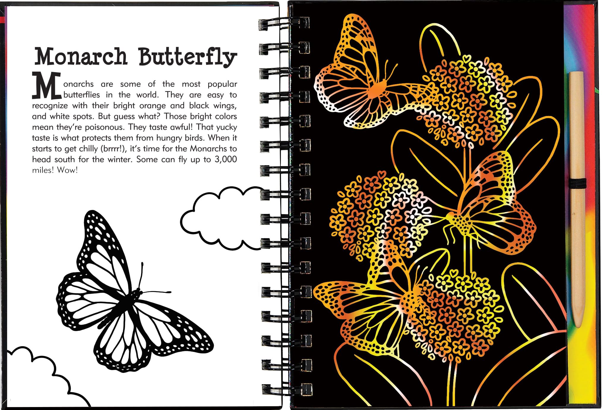 Scratch & Sketch Butterflies & Friends (Trace Along)