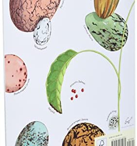 An Egg Is Quiet: (Picture Book, Kids Book about Eggs) (Sylvia Long)