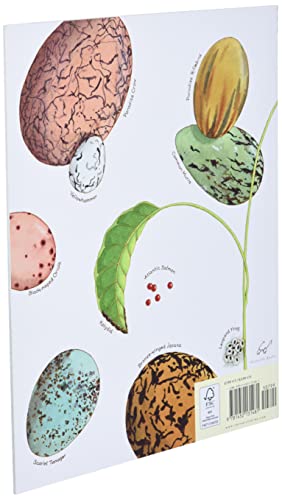 An Egg Is Quiet: (Picture Book, Kids Book about Eggs) (Sylvia Long)